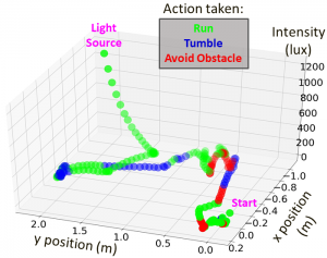 Run-and-Tumble | Bitcraze